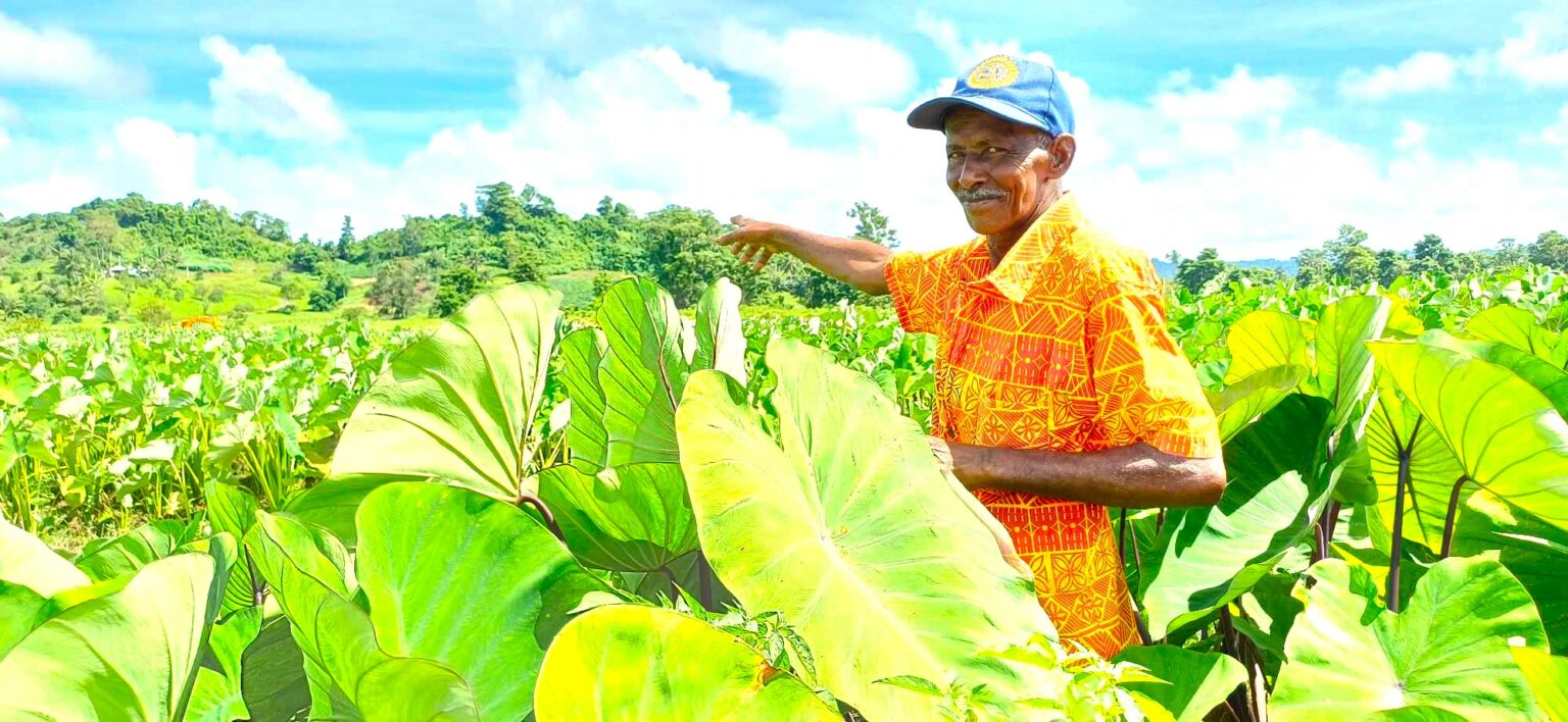 "Sowing Seeds of Prosperity: The Transformative Journey of Fiji's Rural ...